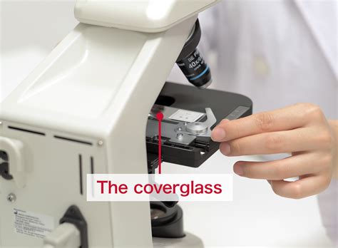 Diopter Adjustments 1｜eclipse E100｜online Guide｜nikon Corporation