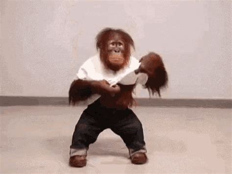 Funny Monkey S