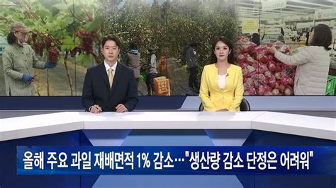 올해 주요 과일 재배면적 1 감소…“생산량 감소 단정은 어려워 Youtube