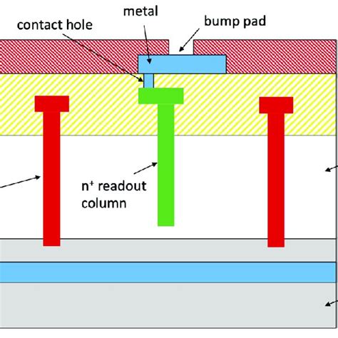 Schematic Cross Section Of A Single Sided 3d Detector On Si Si Dwb