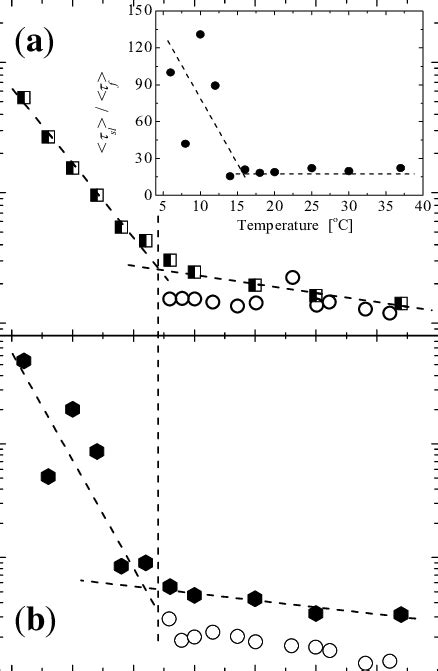 Temperature Dependence Of The Hydrodynamic Radii R H And Correlation