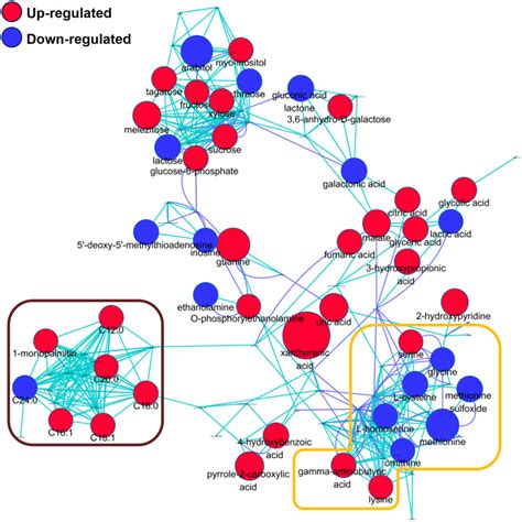 Metabolic Networks Of Biochemical Reaction Pairs And Chemical