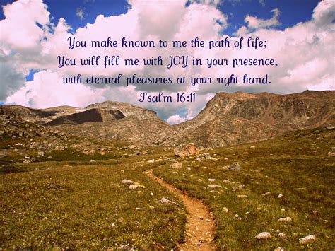 Psalm 1611 Psalm 1611 Psalm 16 Psalms