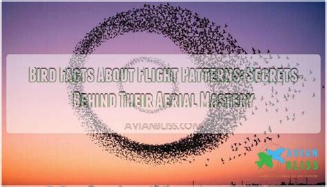 Bird Behavior Patterns Explained Fascinating Insights Into Avian Life