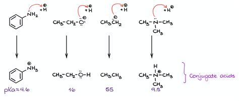 Acid Base Equilibrium Part How To Use The Pka Table Artofit