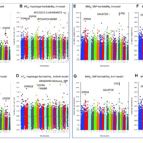Snp And Haplotype Heritability Profiles Of Weight Wt And