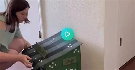 Kitty Opens A Catnip Dispensary Album On Imgur