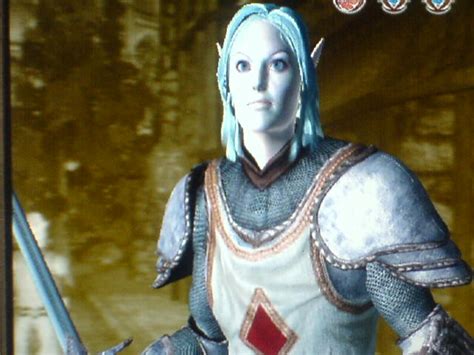 Oblivion Divine Crusader By Capricornsun83 On Deviantart