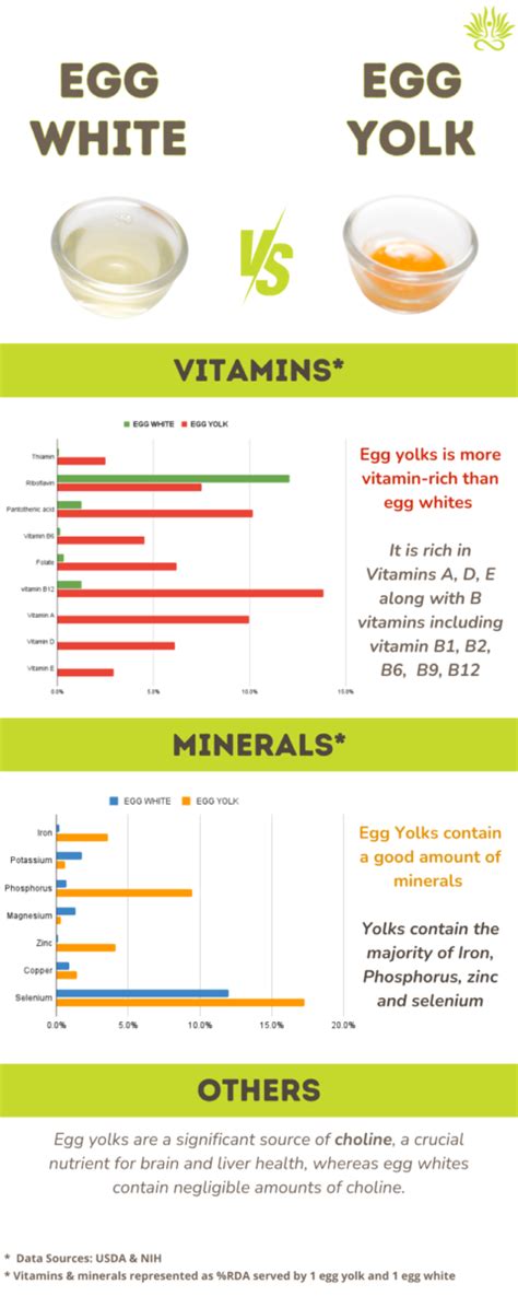 Egg Yolk Vs Egg White Cracking The Nutrient Debate