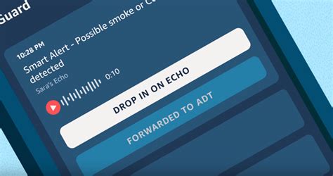 Turn Alexa Into A Free House Sitter Techlicious