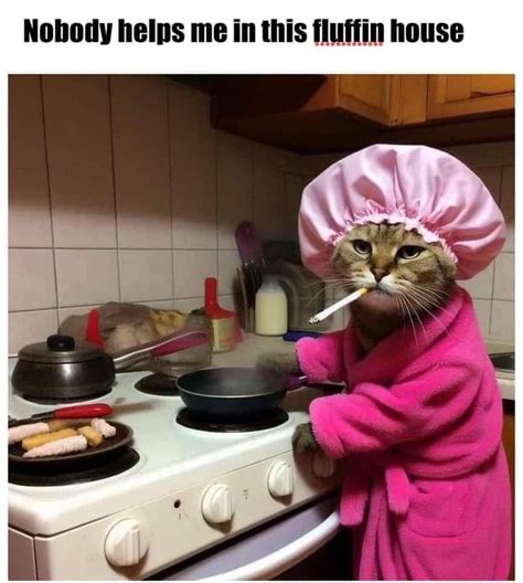 Meet My Mom R Catmemes