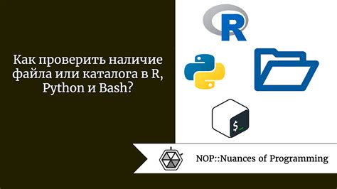 Как проверить наличие файла или каталога в R Python и Bash By Андрей Шагин Nop Nuances Of