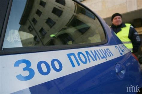 ЗА ИЗРОДИТЕ НЯМА ПОЧИВЕН ДЕН Обесиха наскоро родило куче на дърво в