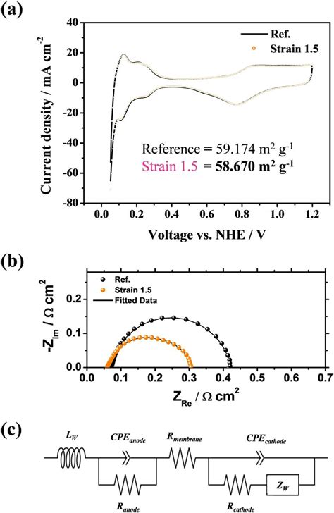 Electrochemical Analysis A Cyclic Voltammogram Cv Of The Cathode Download Scientific