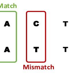 DNA Sequences Alignment Download Scientific Diagram