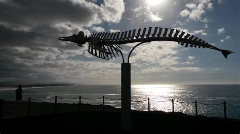 무료 이미지 바다 대양 실루엣 구름 일몰 황혼 저녁 푸에르 테벤 투라 월 게리프 엘 코틸로 3264x1836 490027 무료 이미지 Pxhere