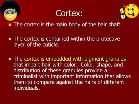 Ppt Forensics Chapter 8 Powerpoint Presentation Free Download Id