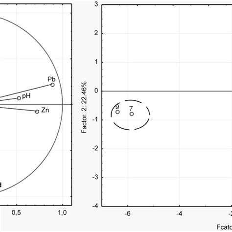 The Projection Of Measured Variables On A Plane Of The First And Second