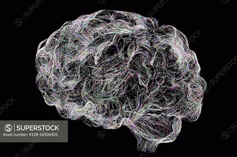 Brain Neural Network Computer Illustration Superstock
