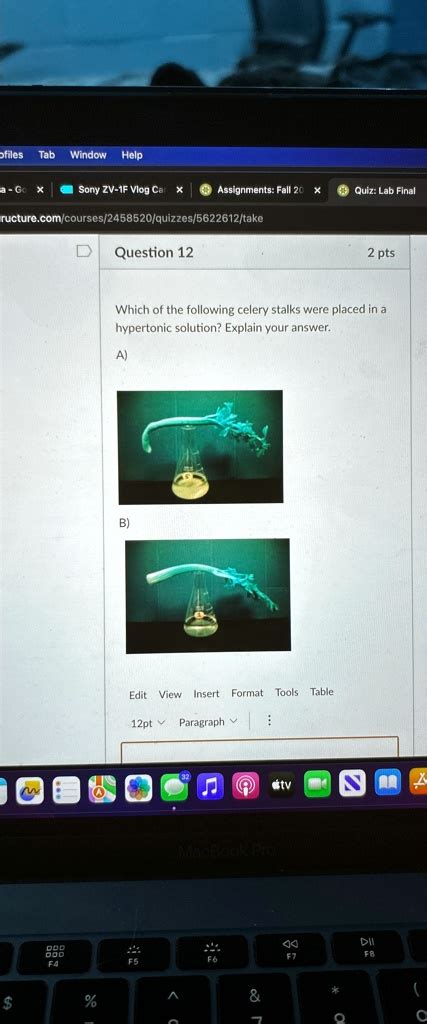 Solved Question 12 2 Pts Which Of The Following Celery Stalks Were