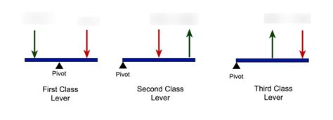 Chapter 14 Physics Diagram Quizlet