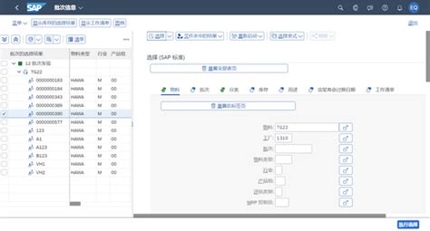 手动创建批次主数据 Sap Community