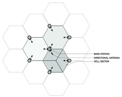 Cellular Network Organization Download Scientific Diagram