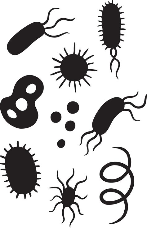 Microscopic Organisms Set 72364028 Vector Art At Vecteezy