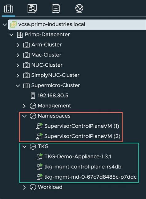 Can I Deploy Both Tanzu Kubernetes Grid Tkg And Vsphere With Tanzu On