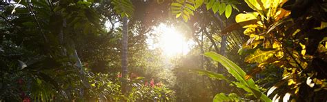 Sap En Argentina 7 De Cada 10 Empresas Ya Tiene Una Estrategia De Sostenibilidad