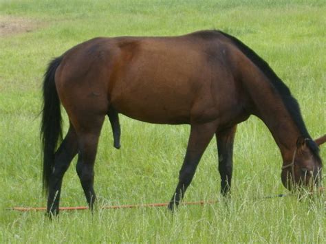 고래 성기의 위엄 포텐 터짐 최신순 에펨코리아