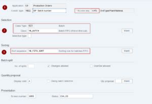 SAP Batch Determination And Management