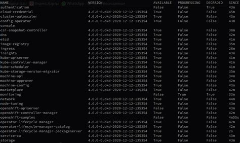 Install OKD 4 6 On VSphere UPI Failed Issue 435 Okd Project Okd GitHub
