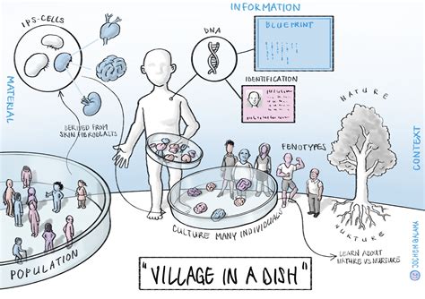 Understanding Why People Have Different Disease Risks And Responses To