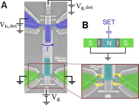 Experimental Setup A Pseudo Colored Scanning Electron Micrograph Of Download Scientific