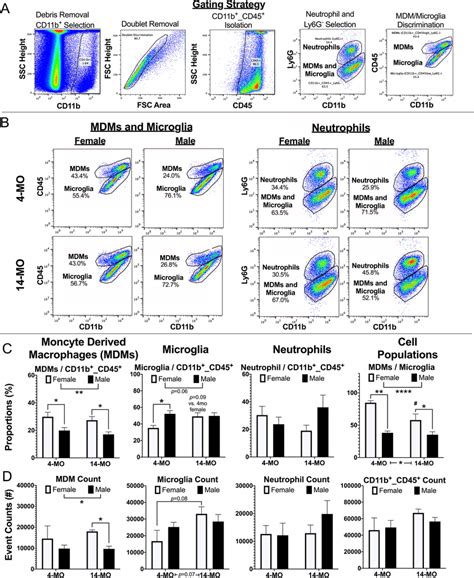 Flow Cytometry Reveals Different Inflammatory Profiles Between Sexes At