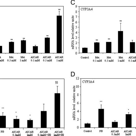 Regulation Of Cyp2b6 And Cyp3a4 In Primary Human Hepatocyte Cultures Download Scientific