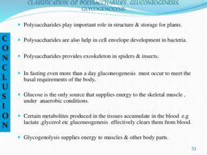 Polysaccharide Definition Structure Functions Examples