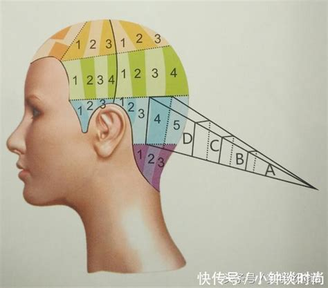 头发打薄多久能厚回去 头发打薄了多久能恢复 随意云