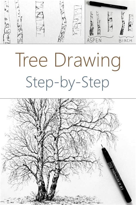 Tree Drawing Guide Trees Art Drawing Tree Drawing Pencil Drawings For Beginners