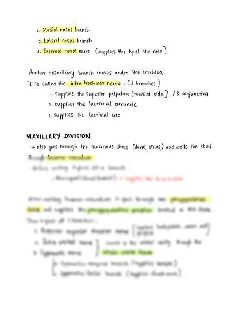 Solution Cranial Nerve 5 Trigeminal Nerve Studypool