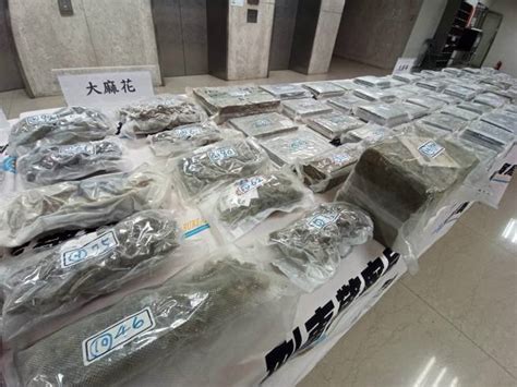 進口怪手暗藏市價4500萬槍毒 特勤隊趁卸貨攻堅圍捕畫面曝 社會 中時