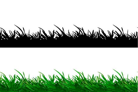 벡터 잔디밭 푸른 잔디 와 완벽 한 경계 잔디의 검은 실루엣의 그림입니다 여름 잔디 초원 요소 디자인 자연 풍경 봄 허브 유기농 바이오 에코 라벨 및 형태 검은 테두리에