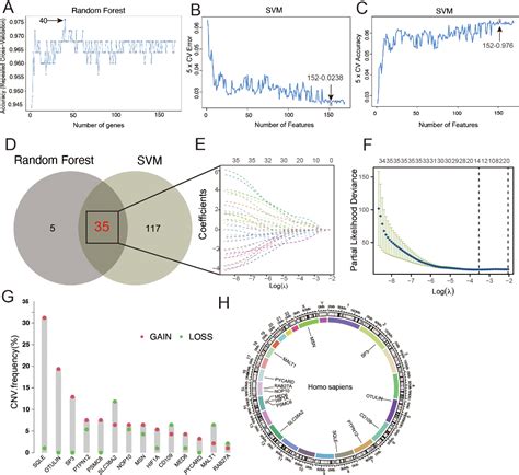 Figure 4 From Impact Of Mitophagy Related Genes On The Diagnosis And Development Of Esophageal