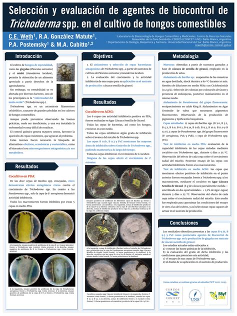 Pdf Selección Y Evaluación De Agentes De Biocontrol De Trichoderma Spp En El Cultivo De