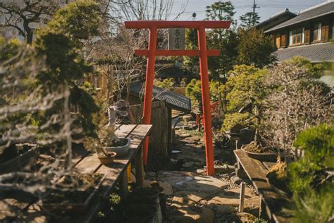 경치 경치가 좋은 고요한 고요함 관목 그림 같은 그림자 녹지 도리이 게이트 동양 랜드마크 목조 건축물 문화적 바위 봄 분재 나무 빨간 도리이