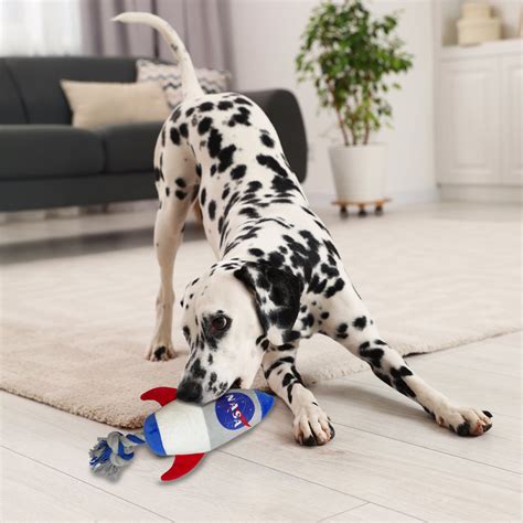 Nasa Rocket Ship Pet Toy Spacetrader T Shop