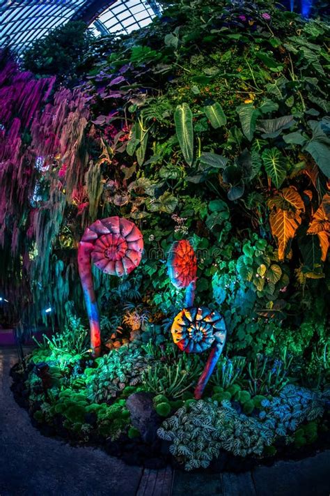 Avatar The Experience At Clouds Forest Editorial Photo Image Of