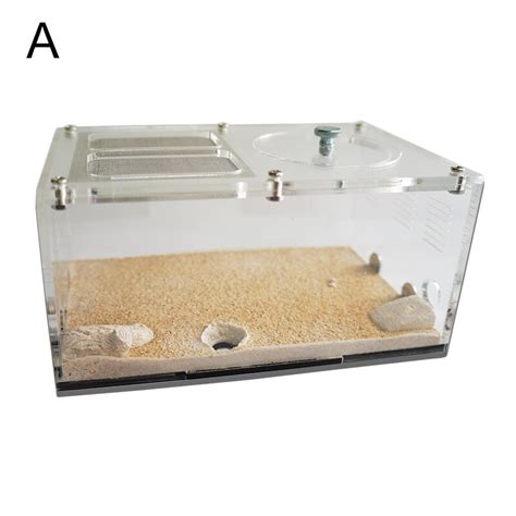 Ant House Pet Ant Nest Original Ecological Concret Vicedeal Ant House Pet Ant Nest Original Ecological Concret Vicedeal