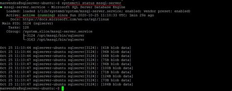 How To Install Sql Server On Linux System Step By Step Guide